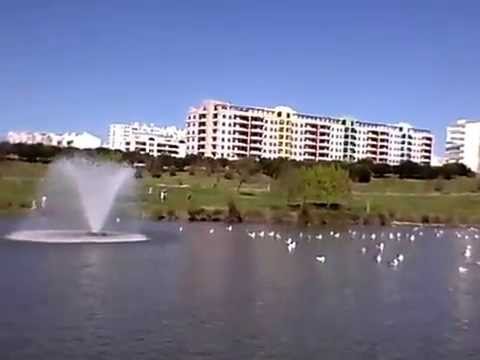 Parque da paz . Primavera 2015. - YouTube