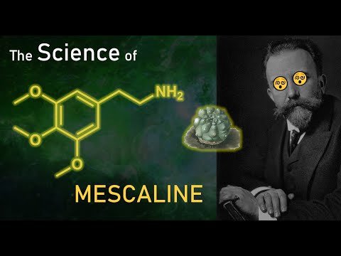 Mescaline | History, Isolation, Synthesis, Pharmacology (educational)