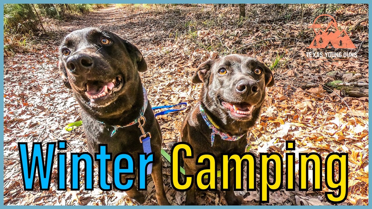 Winter Camping at Camp Jason and Lake Livingston State Park! // Texas ...