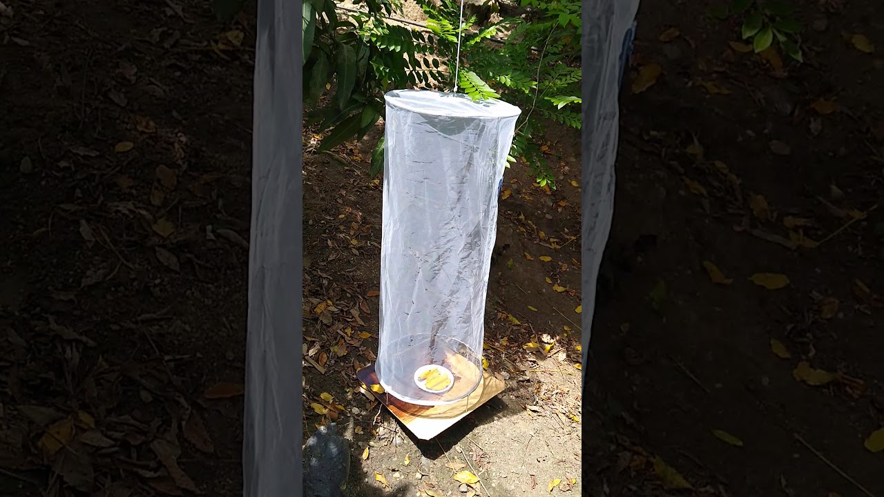 Trampa Van Someren-Rydon parte I - YouTube