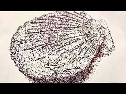 SLC Art - GCSE level pen and ink drawings - YouTube