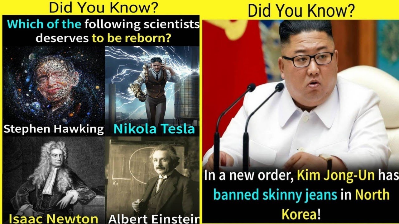Did You Know Facts?? #38 | Amazing Random Facts You Should Know ...