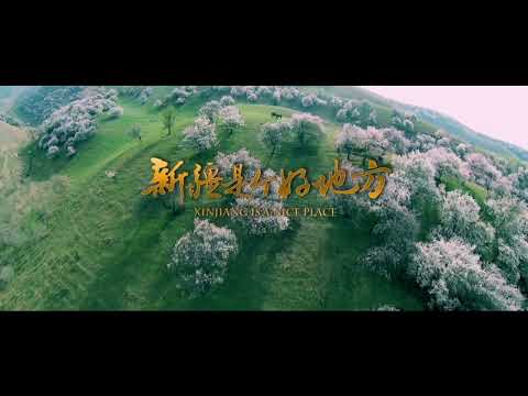 The Apricot Blossom Festival in Turpan