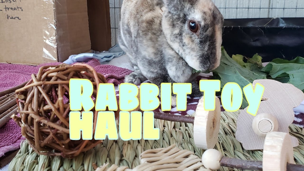 Natural Rabbit Toys Haul + Unboxing! - YouTube
