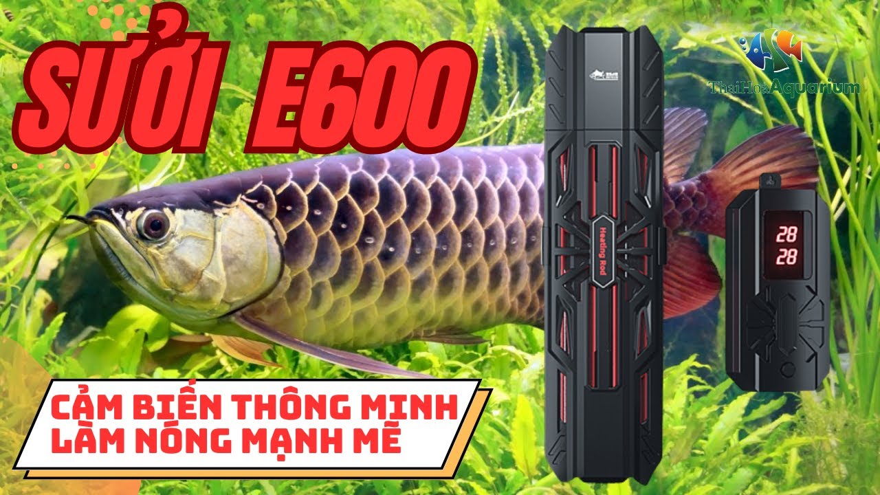 Unbox và hướng dẫn sử dụng sưởi bể cá Baoyu BY-E600 - YouTube