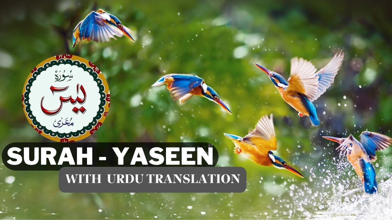 Surah Yaseen (Full Tilawat ) NO ADS🚫recitation.| Quran Tilawat ...