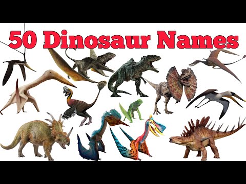 50 Dinosaur Names In English & Hindi With Fun Facts | Fun Learning For Pre-school Children