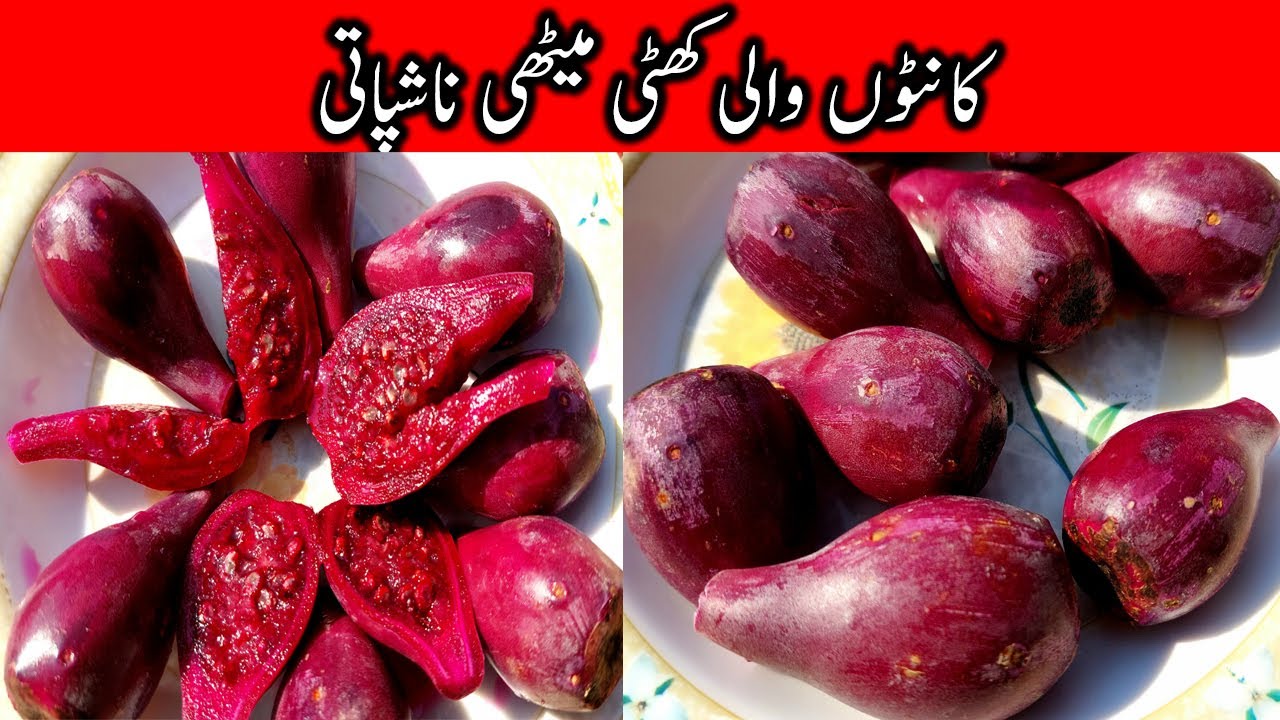 Kantoon wali Nashpaati || Anar Phali ya Shekundian || Prickly pear ...