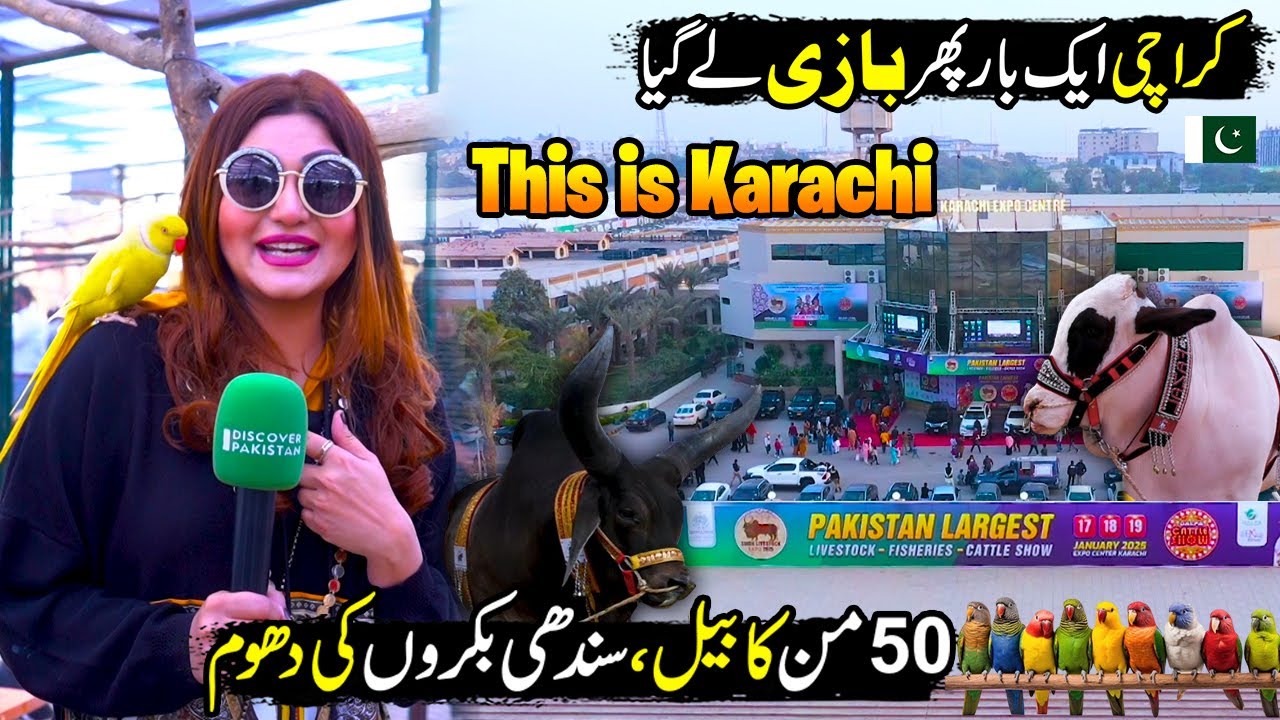 Explore Pakistan Largest Livestock, Fisheries & Cattle Show At Expo Center Karachi | Hello ...