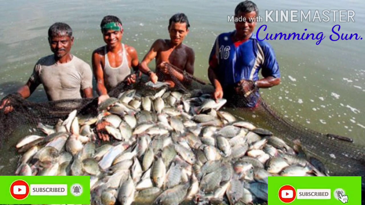 Begumganj,, Noakhali,, Bangladesh ? - YouTube