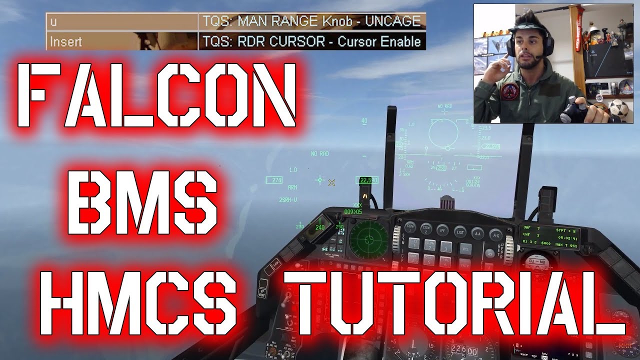 FALCON BMS - HMCS & AIM9 TUTORIAL - MODO CASCO - YouTube
