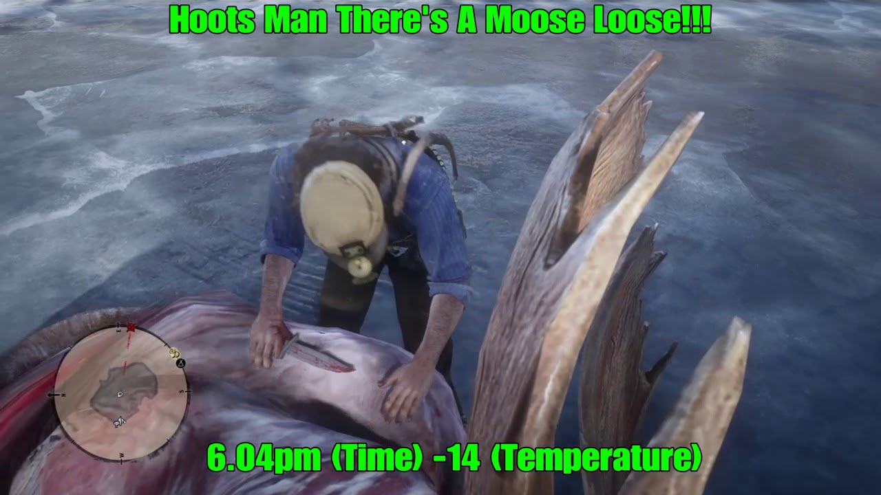 Red Dead Redemption 2 Perfect Western Bull Moose Location - YouTube