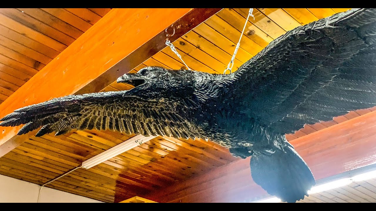 AMAZING Worlds LARGEST RAVEN - wood carving ( Short Version) - asmr ...