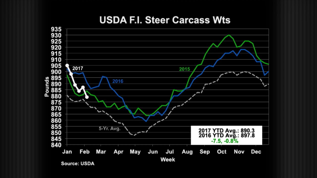 The Angus Report, March 13, 2017: CattleFax Market Update - YouTube