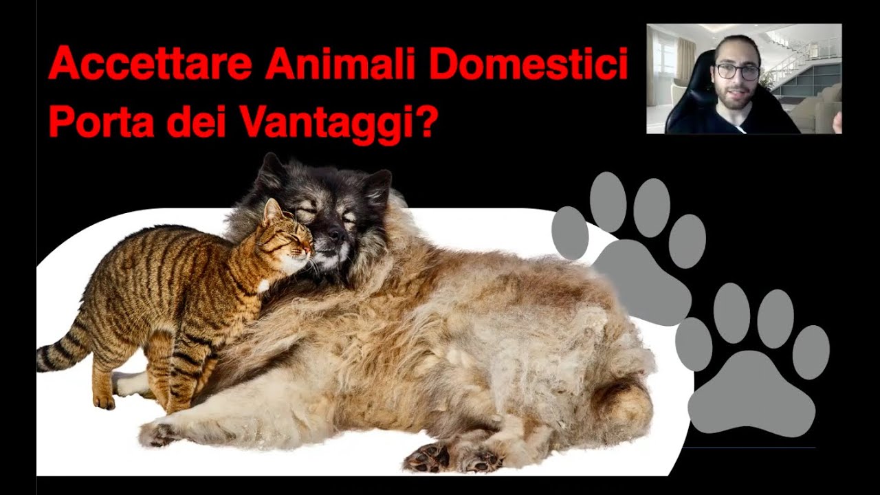 Ci sono Vantaggi nell'Accettare Animali Domestici nella tua Casa ...