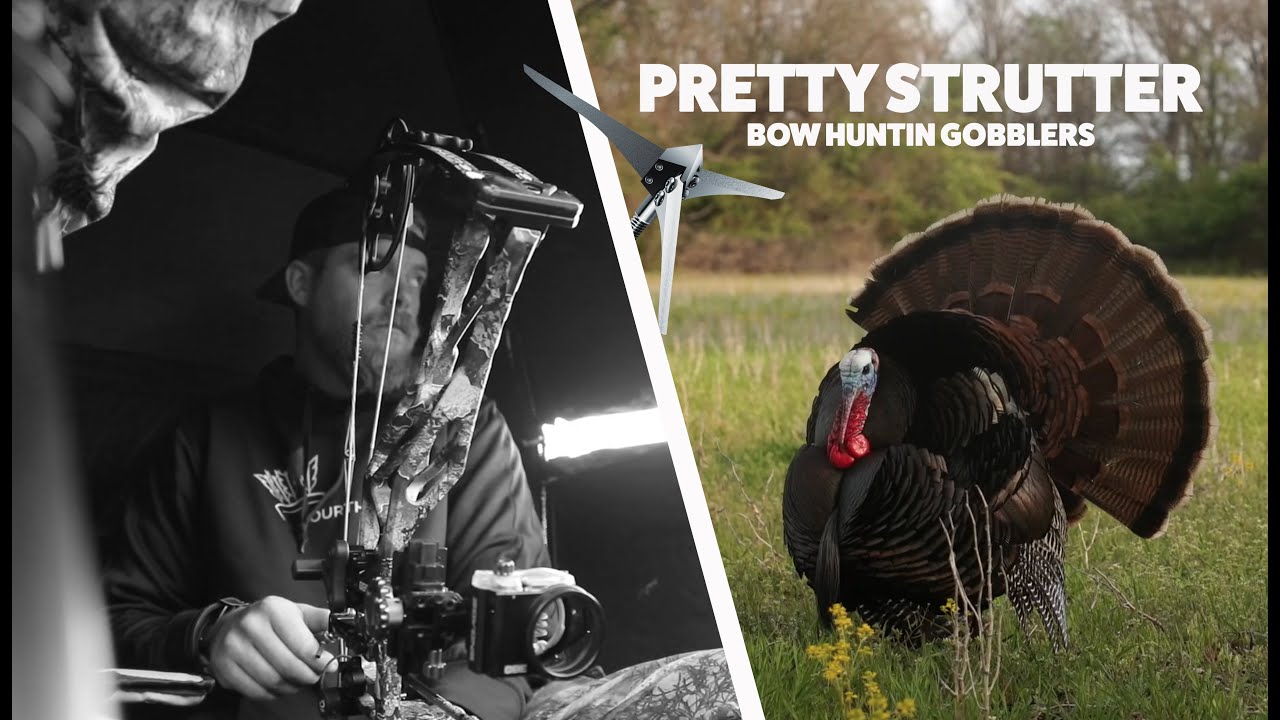 PRETTY STRUTTER! Bowhuntin Big Gobbler - YouTube