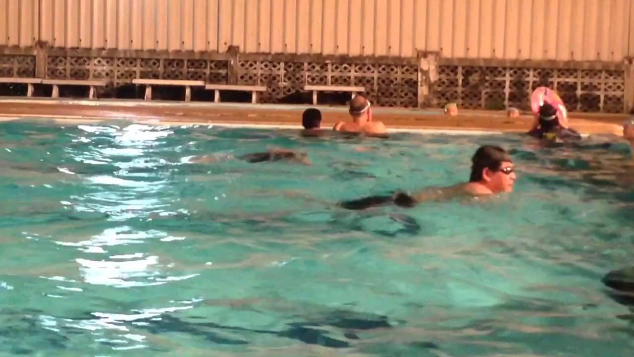 shell swimming 🏊 - YouTube