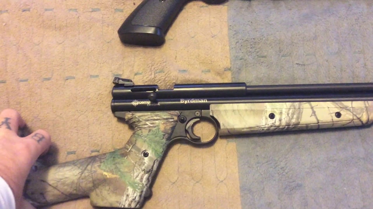 Crosman 1377 compared to a 1300kt custom shop pellet gun - YouTube