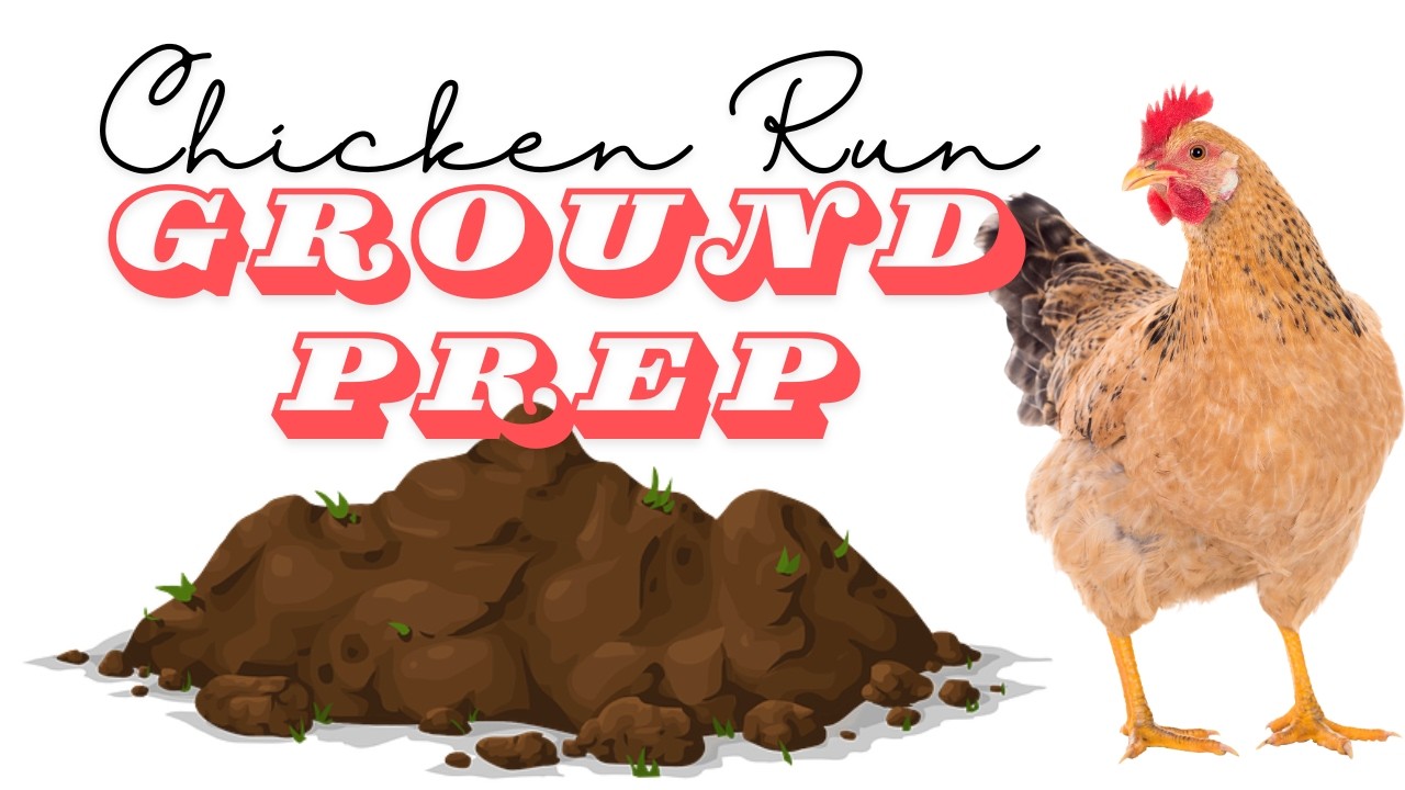 Leveling Ground For A Chicken Run and Coop (#167) - YouTube