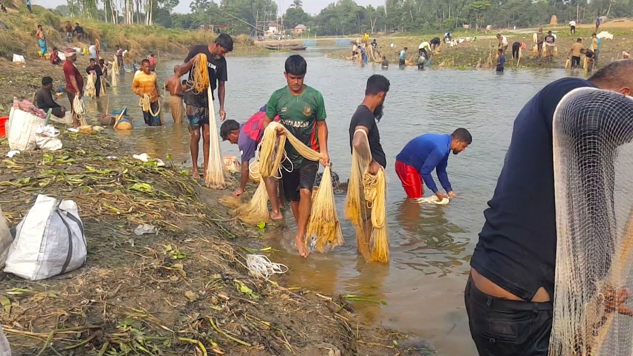 A wonderful scene of village people catching fish with jhanki net - YouTube