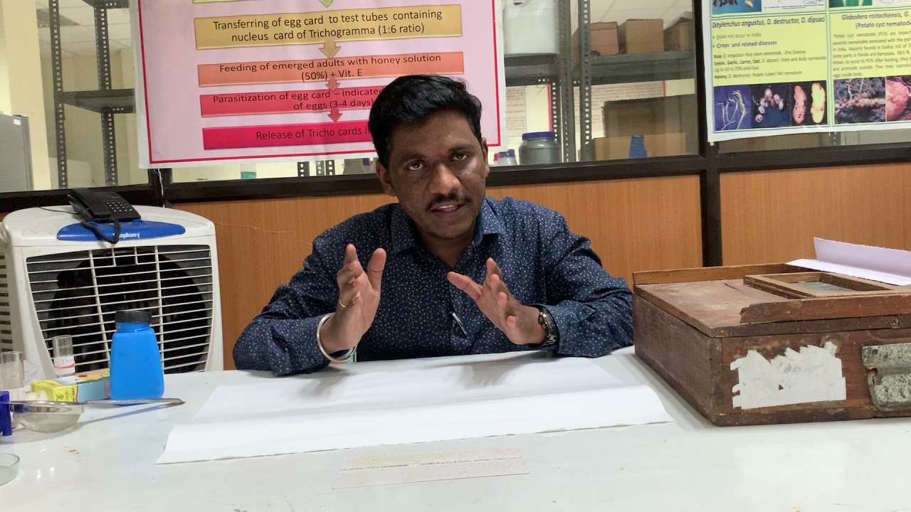 Preparation of Trichocard and Trichoderma (Part-3) - YouTube