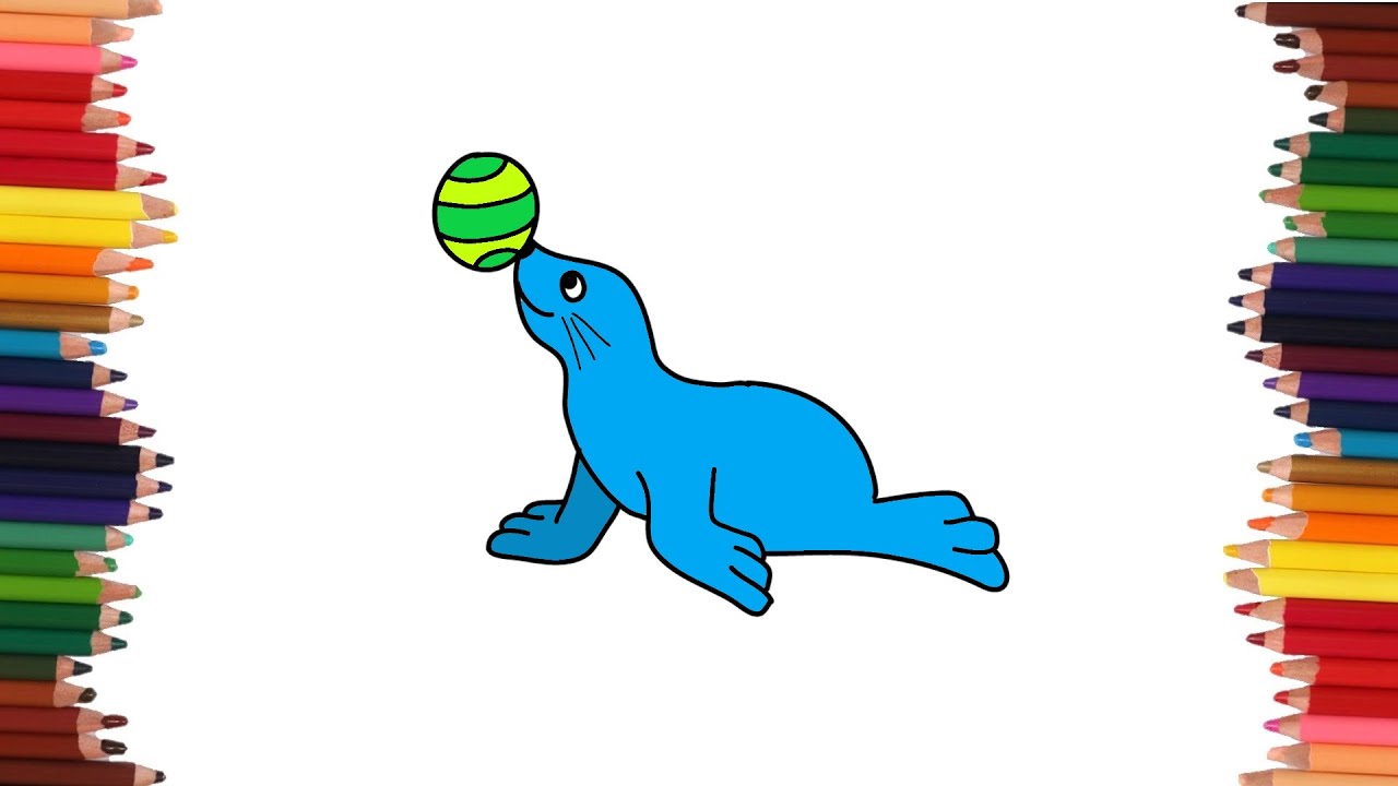 Como dibujar una foca | Cómo dibujar Animales para niños - YouTube