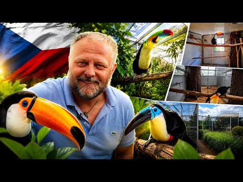 TOUCAN BREEDING IN THE CZECH REPUBLIC - THE MOST BEAUTIFUL PLACE WE'VE EVER BEEN.