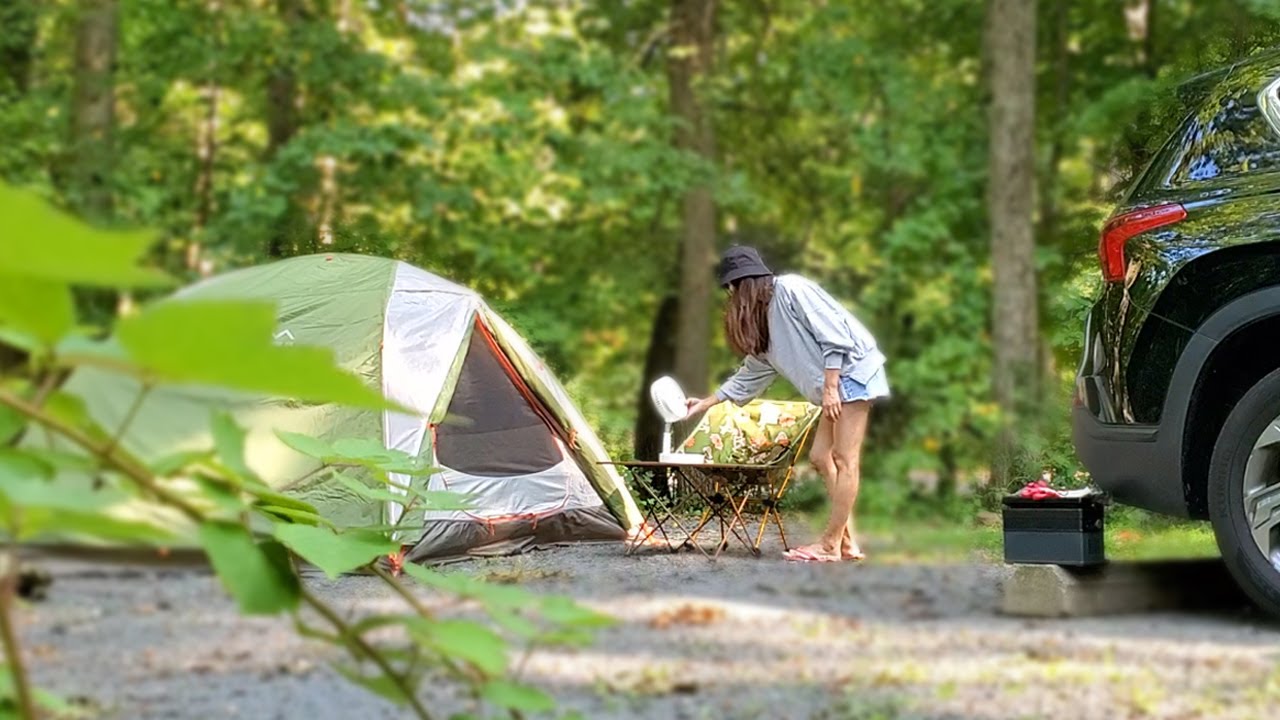 A Peaceful Solo Forest Camping Experience: Relax, Sleep & Eat in the ...