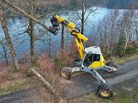 🌲4K|Menzi Muck M545 • Straßensicherung • Durchforstung • Schreitbagger Action • Big trees • Logging🌲