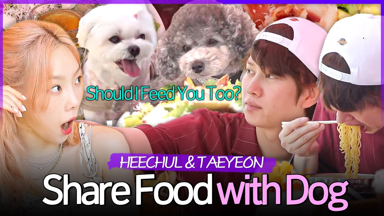 HEECHUL & TAEYEON's CHAOTIC Mukbang with Their Adorable Dogs 🤤🤤 - YouTube