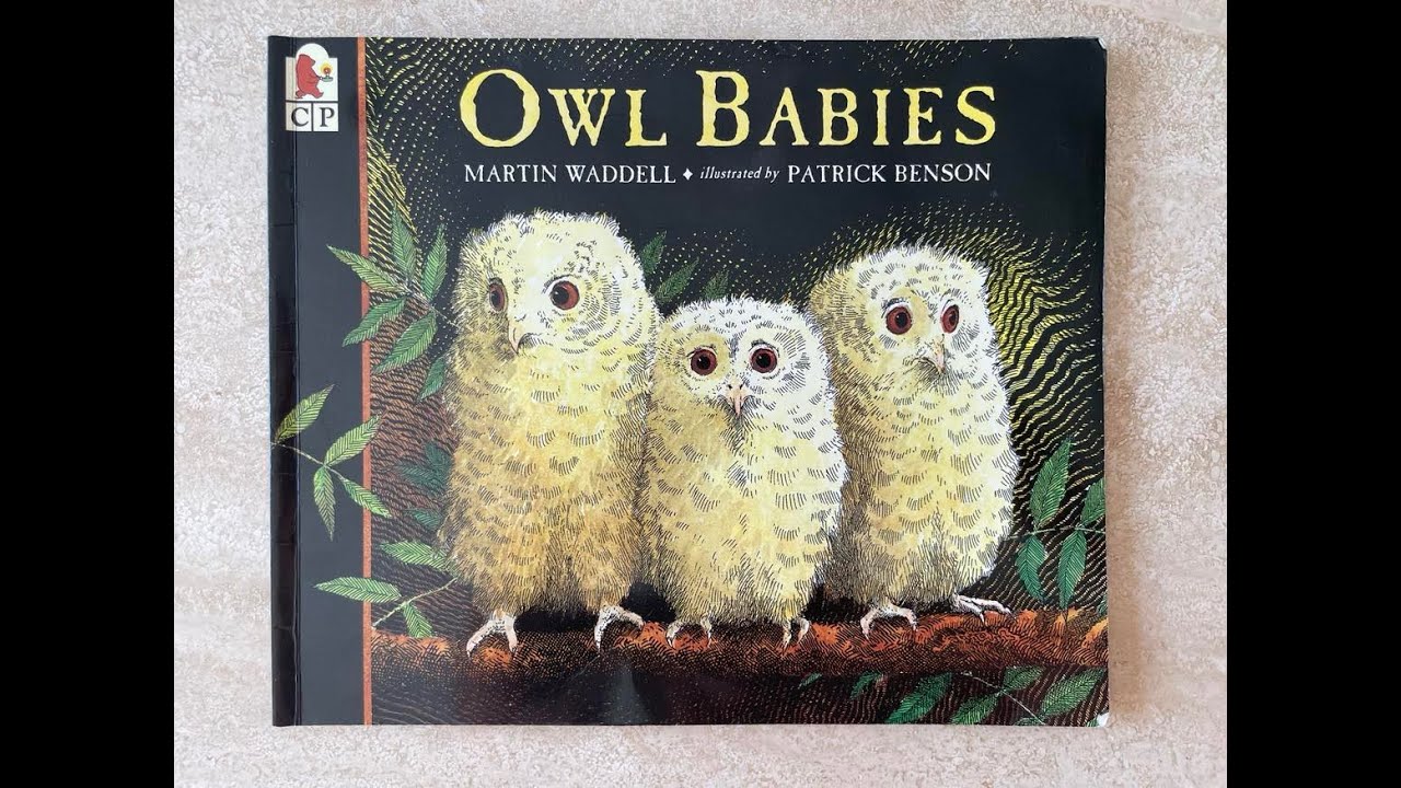 Owl Babies by Martin Waddell-Spanish. - YouTube