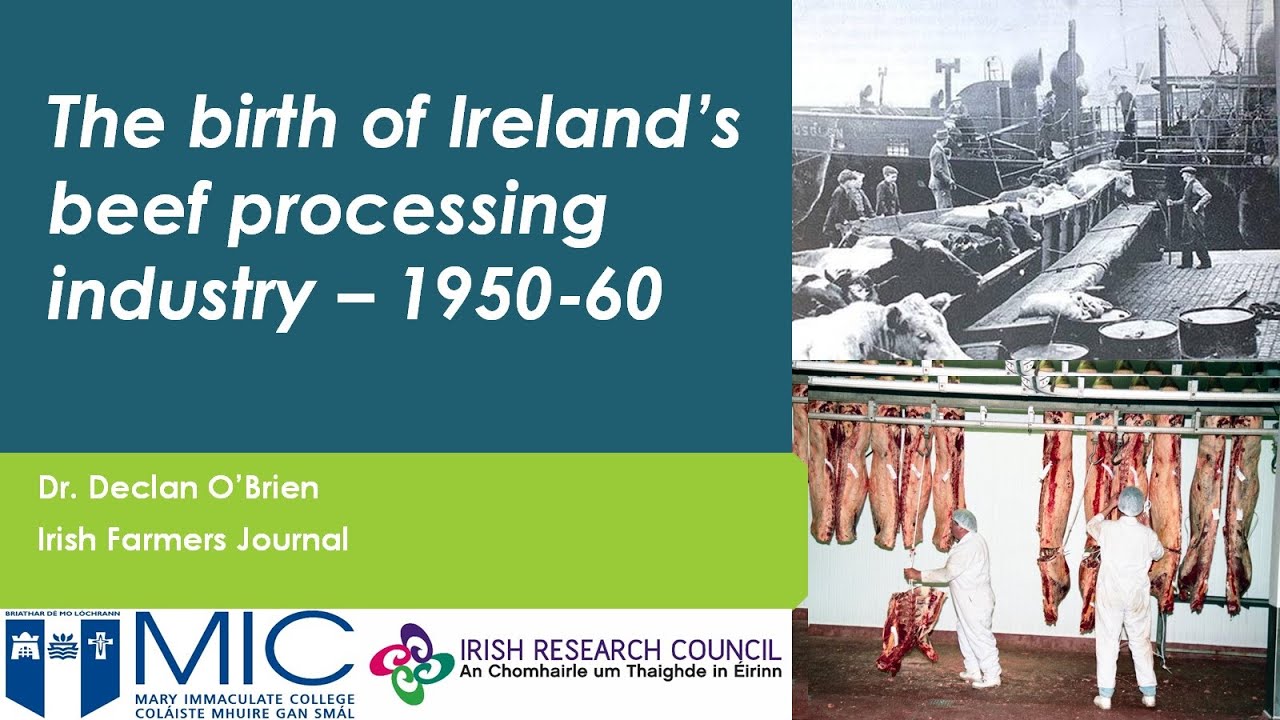 The Birth of Ireland’s Beef Processing Industry 1950-60 - YouTube