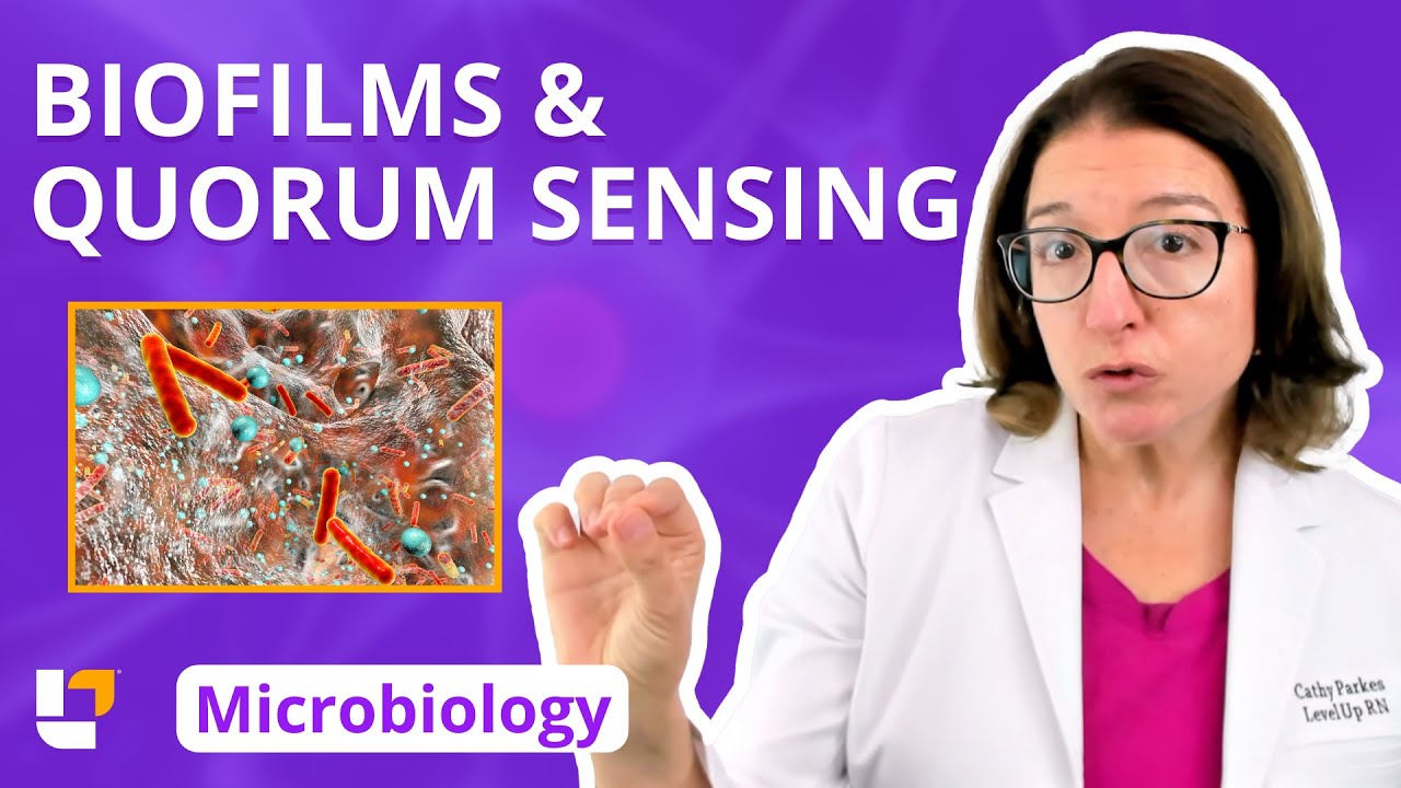 Biofilms & Quorum Sensing: Microbiology Pre-Nursing, Pre-Med & Health ...
