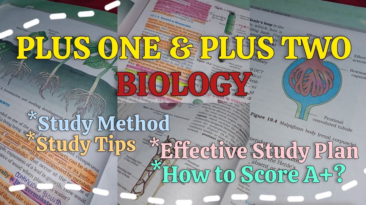 PLUS ONE & PLUS TWO || BIOLOGY STUDY PLAN🛑 | How to Score Full Marks ...