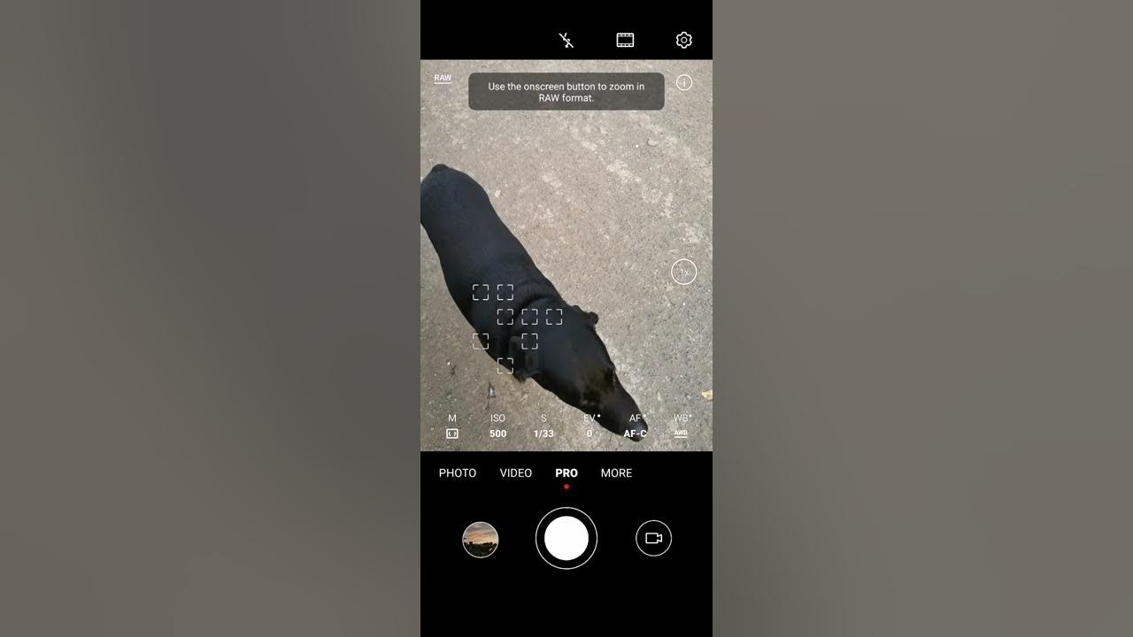 EMUI 10 beta bug: Zoom doesn't work in Pro mode - YouTube