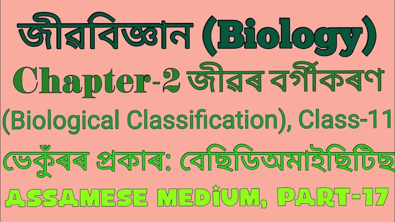 Biology Class 11 Chapter 2 Biological Classification Assamese Medium ...