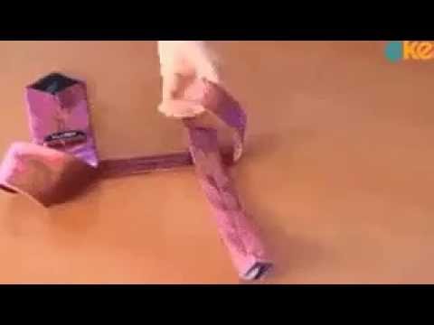 Türkmen Prikol 2017