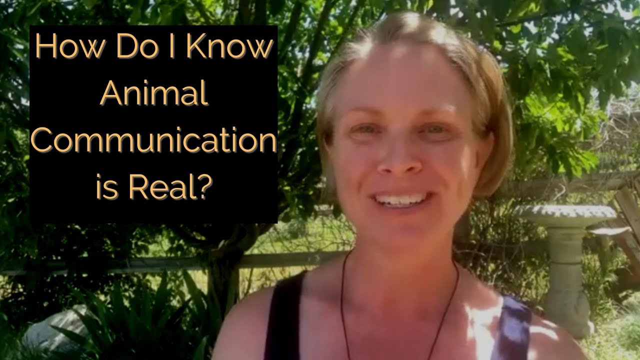 How Do I Know Animal Communication is Real?| Animal Communicator Tracy ...