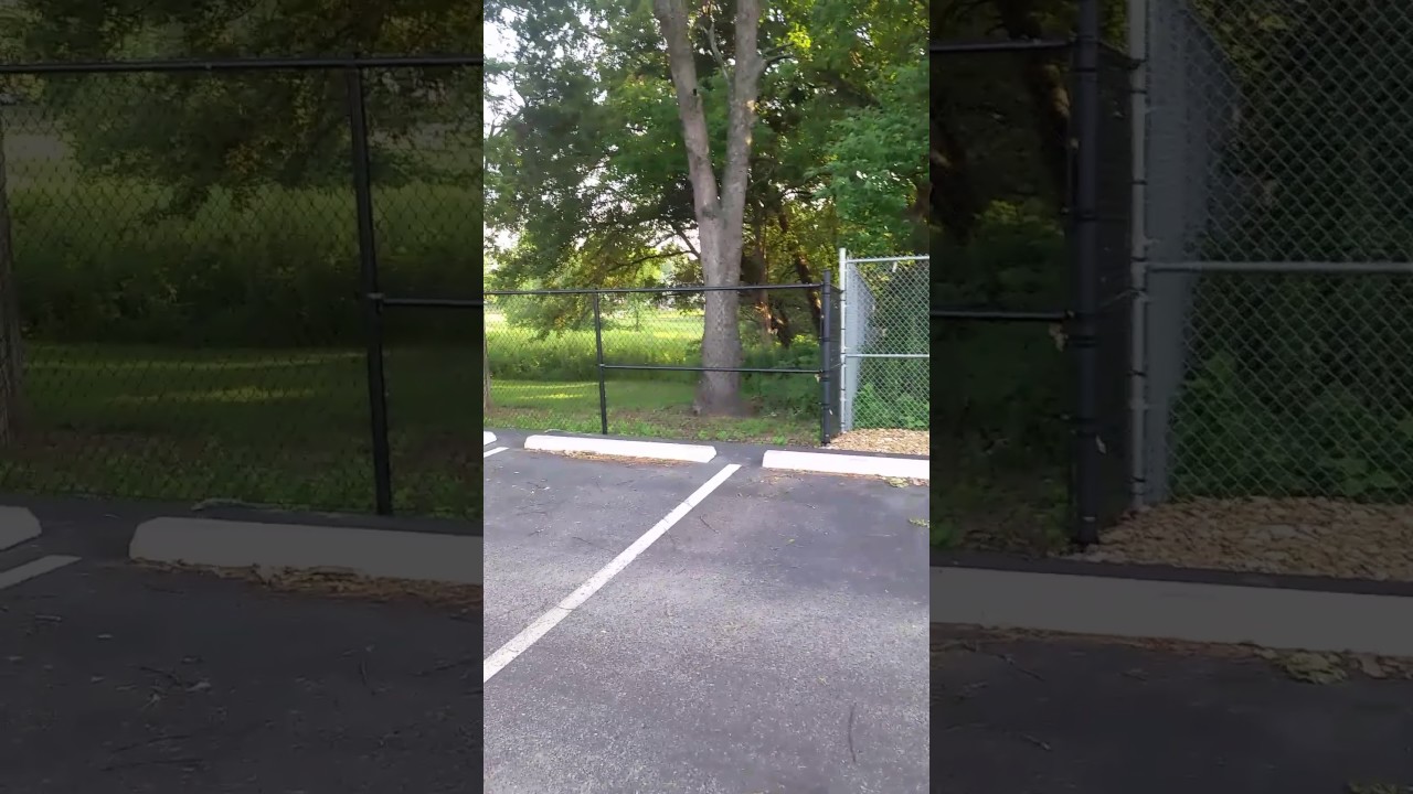 BOBWHITE QUAIL SOUNDS AND CALL - YouTube