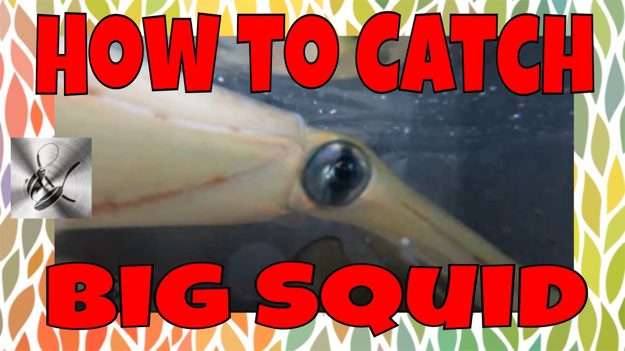 Hooked Squid