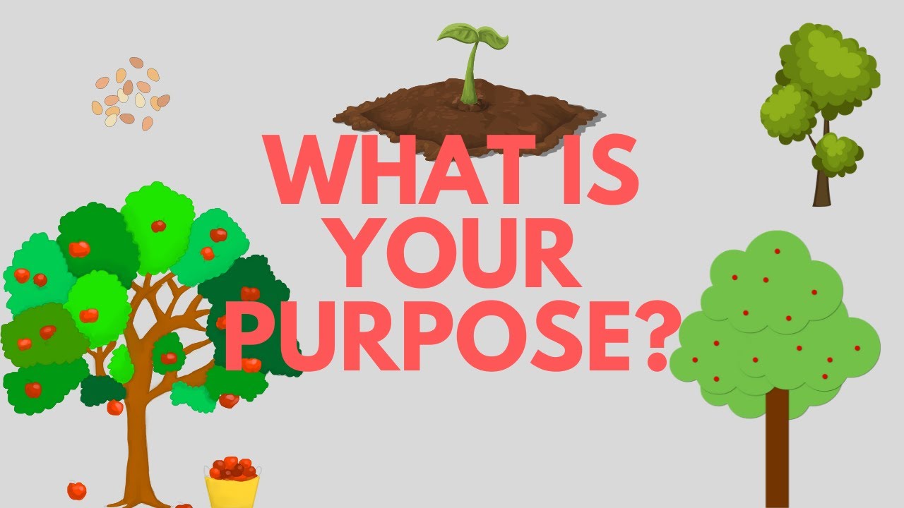 What is Your Purpose? Apple tree analogy about life [Day 124] - YouTube