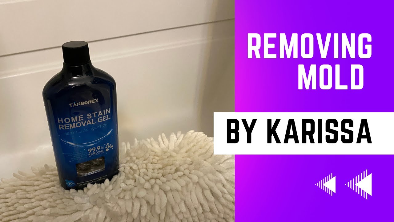 Target mold in your bathrooms - YouTube