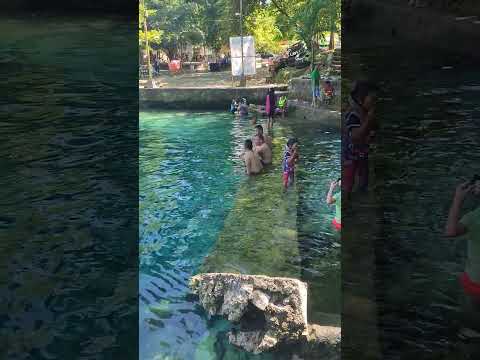 Barobo Bogac Cold Spring 🌼💐🌼💐 by ERVZLAN - YouTube