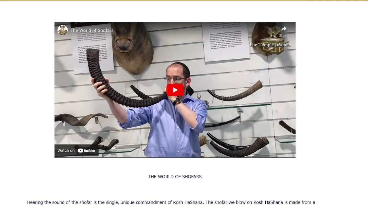 5 PERFECT RED HEIFERS from US Arrive in Israel - 7 Year Tribulation is ...