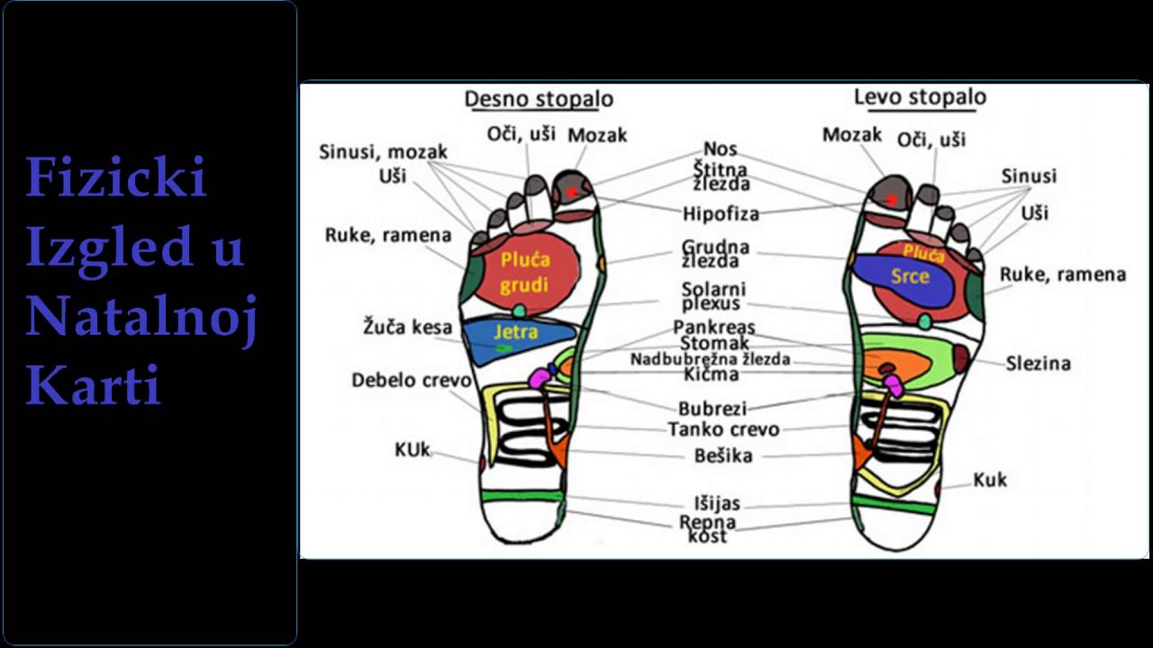 Fizicki Izgled u Natalnoj Karti - YouTube