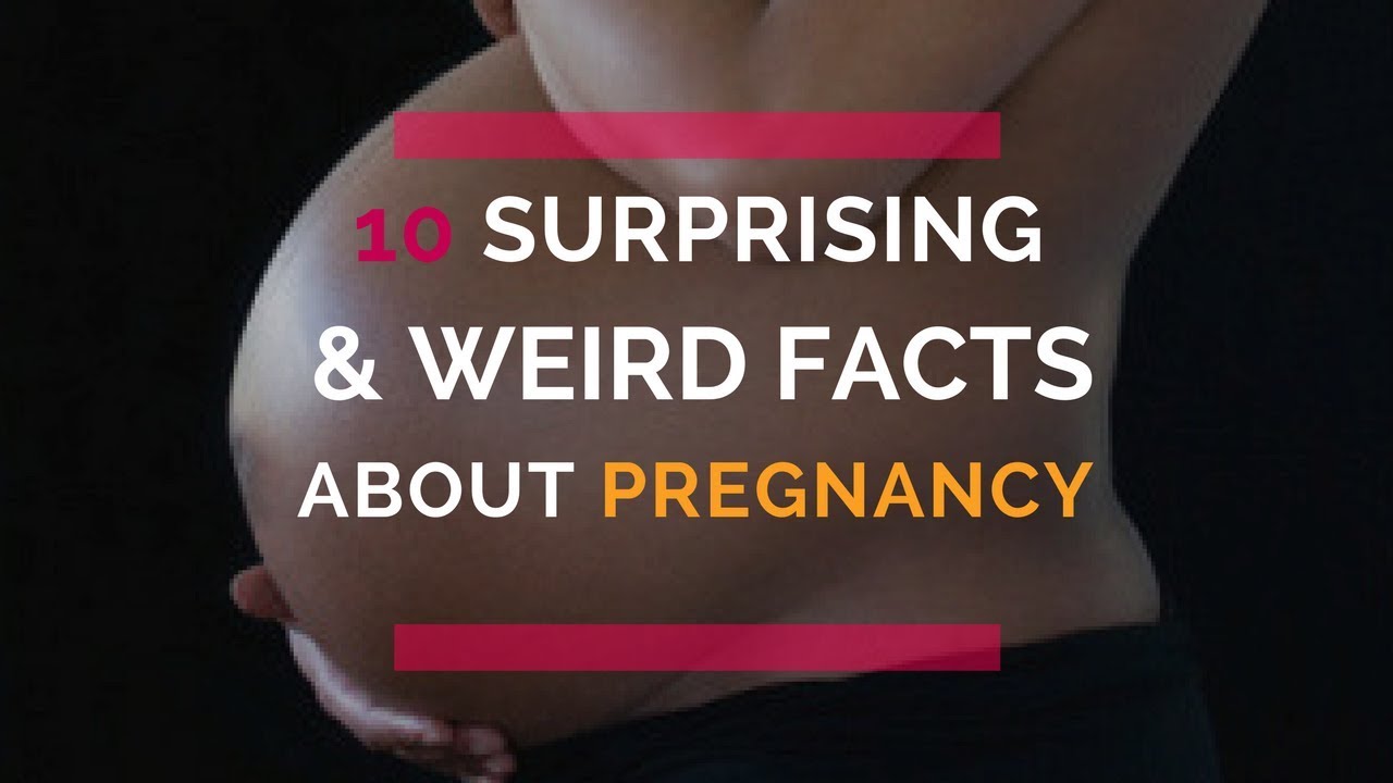 10 Surprising And Weird Facts About Pregnancy Youtube