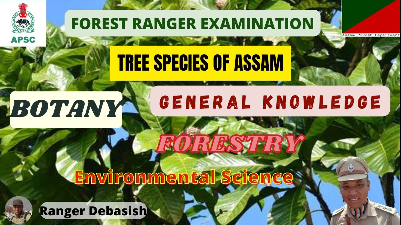 TREE SPECIES OF ASSAM- APSC FOREST RANGER- GENERAL KNOWLEDGE- FORESTRY ...