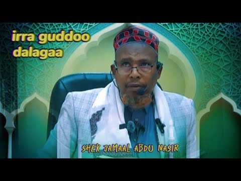 Jamaal shek abdura naasir, Irra caaltuu dalagoowwani.