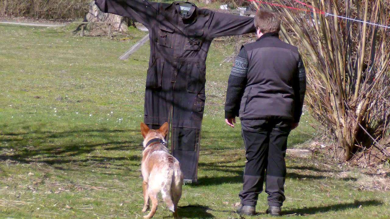 Helios MH Lomma - YouTube