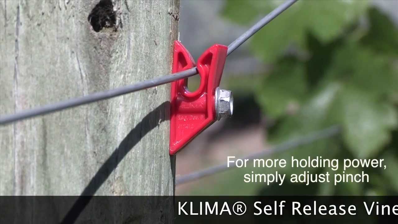 Klima Self Release Vineyard Clips - YouTube